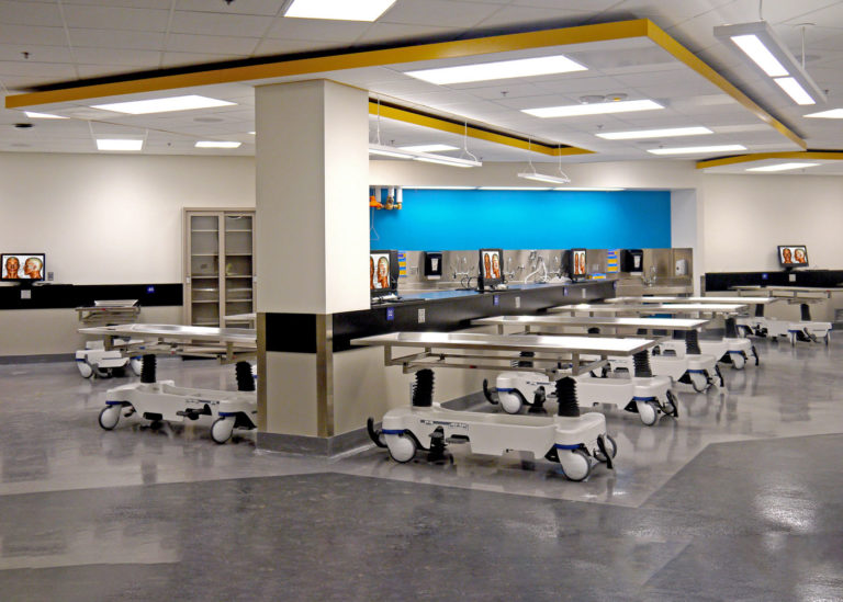 Top Anatomy Lab Design Architects | Hasenstab Architects Hasenstab ...