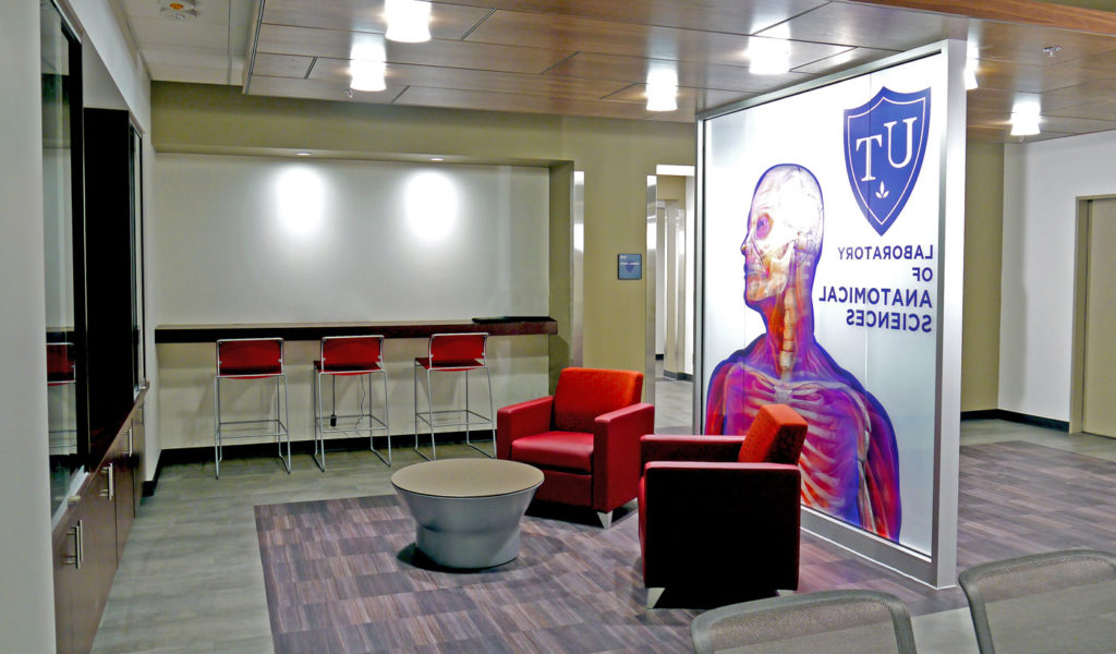 Top Anatomy Lab Design Architects | Hasenstab Architects Hasenstab ...