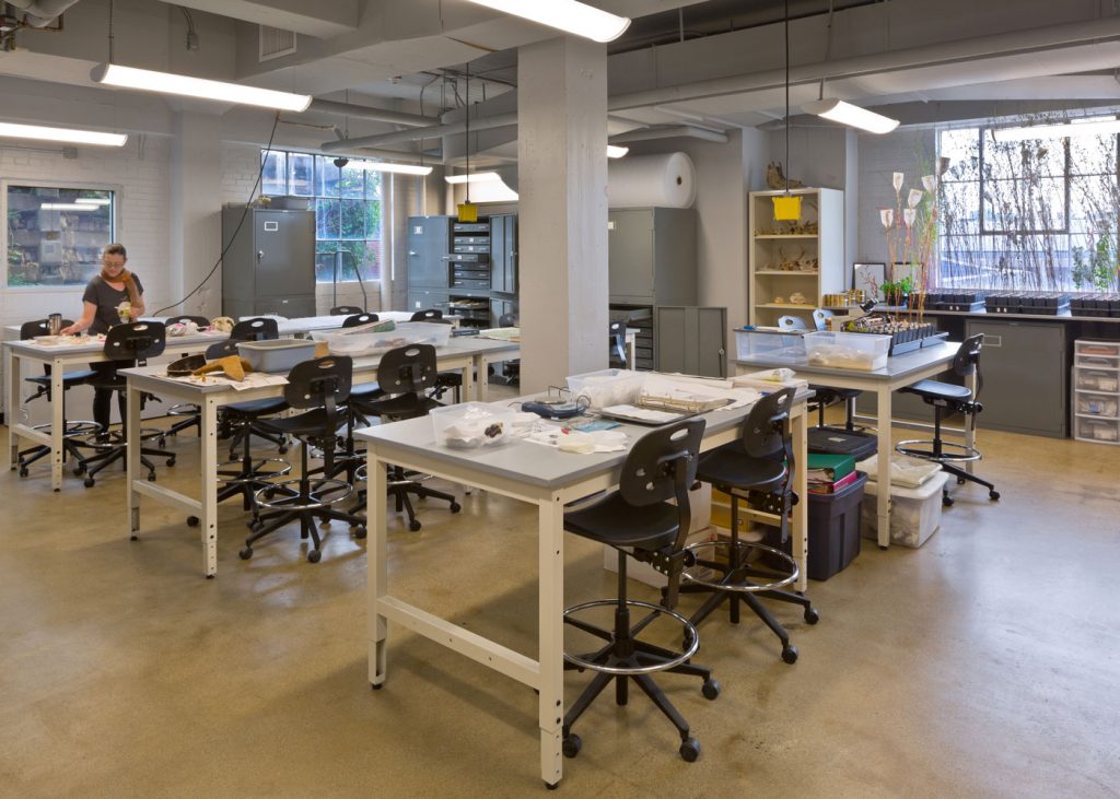 Anthropological Sciences Lab - Higher Education - Laboratory Hasenstab ...