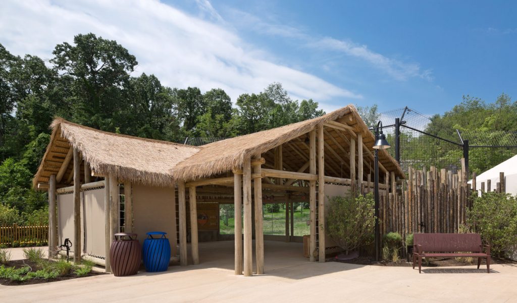 Pride of Africa: Excellence in Zoo Design Hasenstab Architects ...