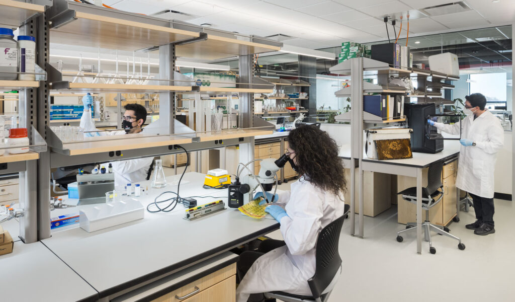 A leader in sustainable building design: OSU's Wooster science building ...